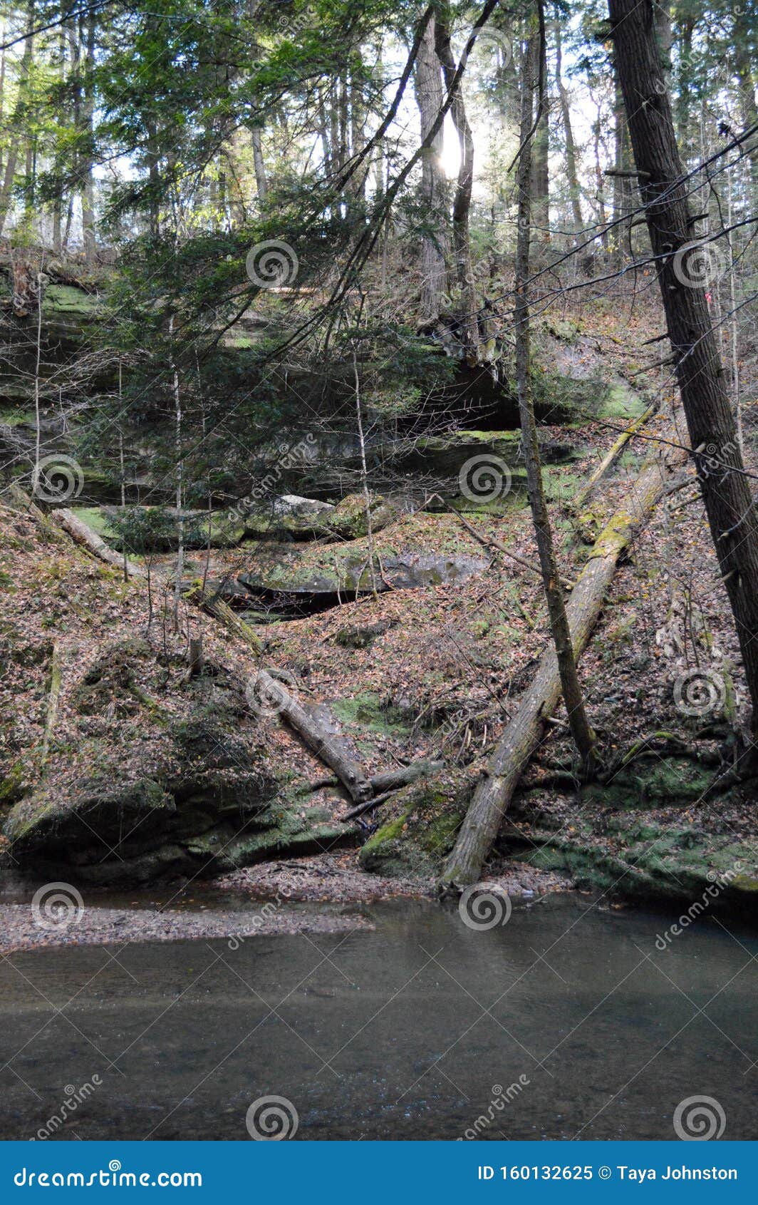 Light Blue Stream of Water Flowing through a Forest Stock Image - Image ...