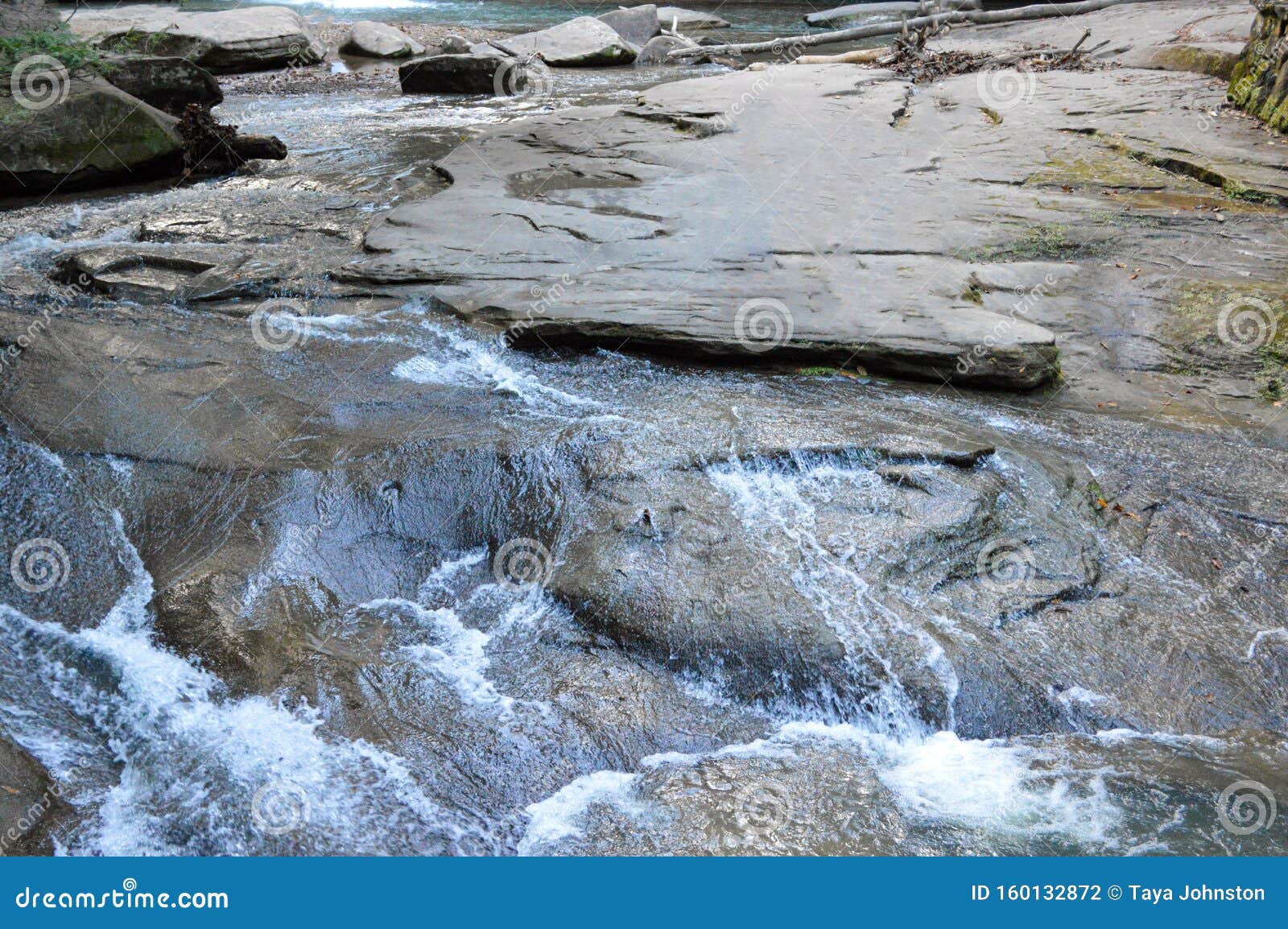 Light Blue Stream of Water Flowing through a Forest Stock Photo - Image ...