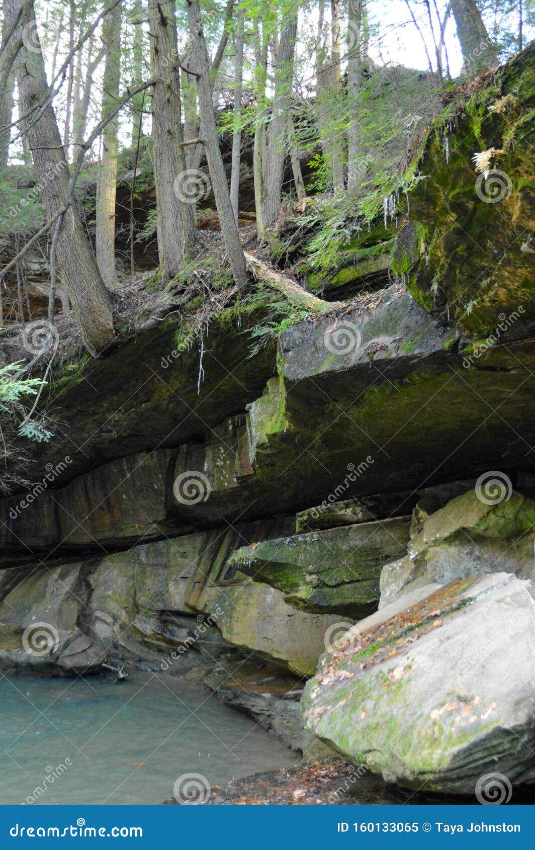 Light Blue Stream of Water Flowing through a Forest Stock Image - Image ...