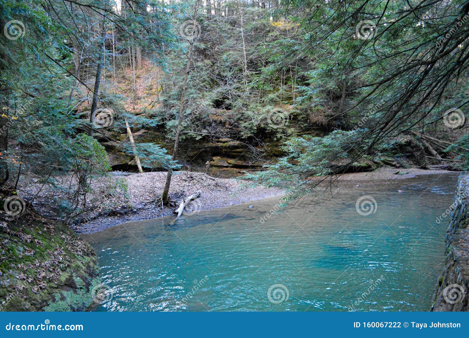 Light Blue Stream of Water Flowing through a Forest Stock Photo - Image ...