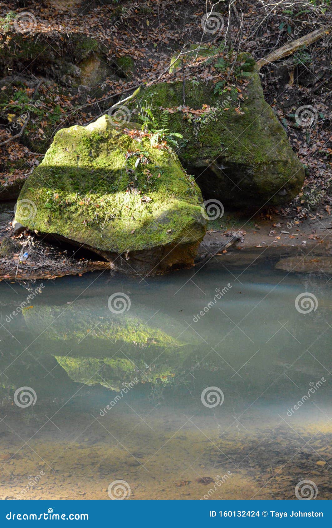 Light Blue Stream of Water Flowing through a Forest Stock Photo - Image ...