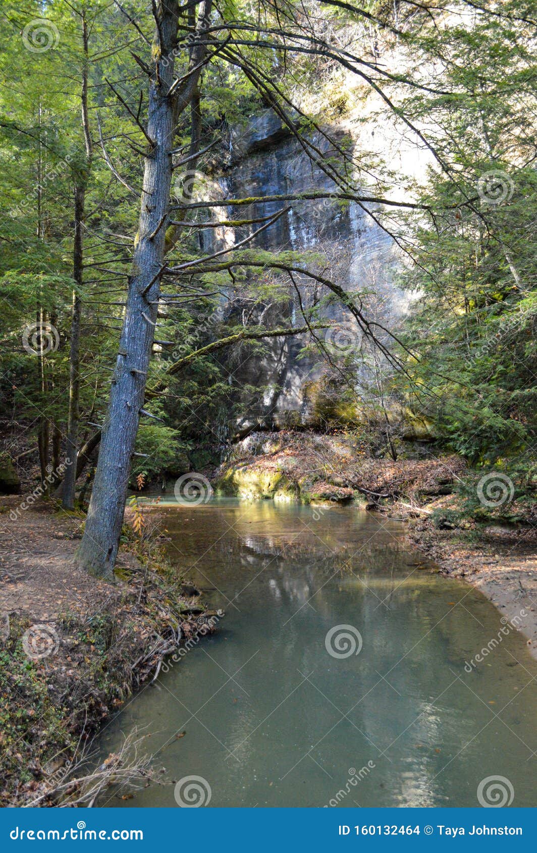 Light Blue Stream of Water Flowing through a Forest Stock Photo - Image ...