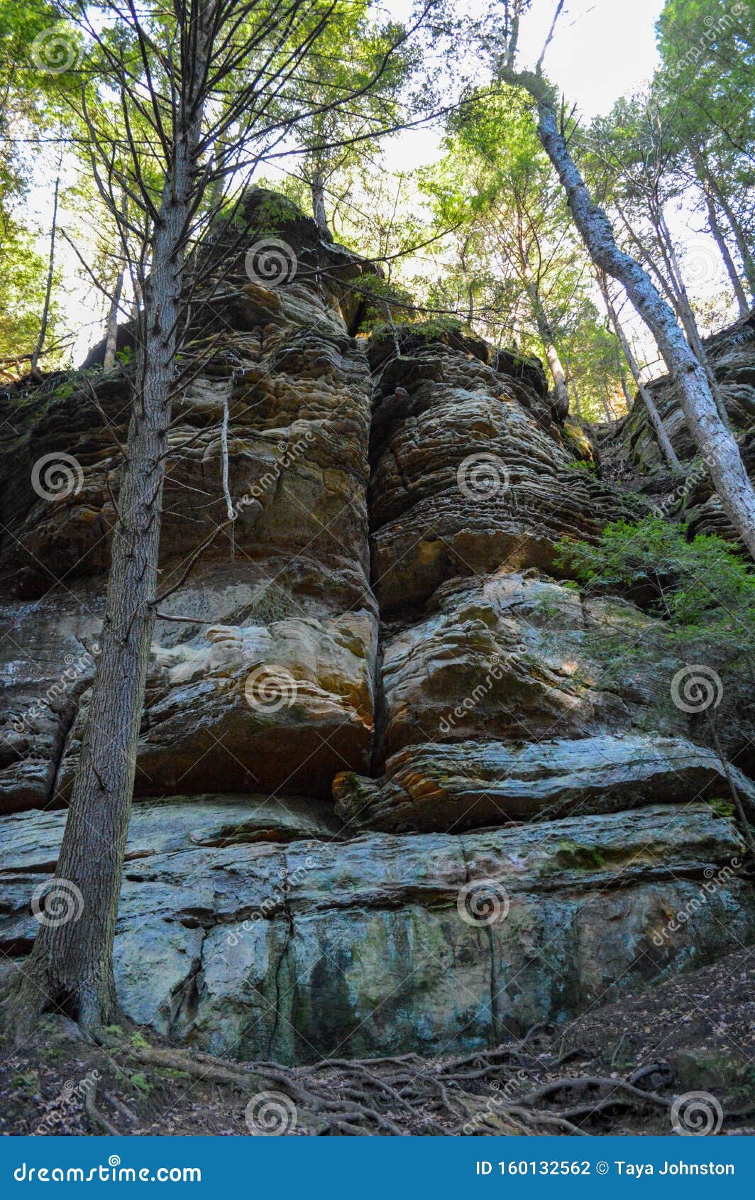 Light Blue Stream of Water Flowing through a Forest Stock Photo - Image ...