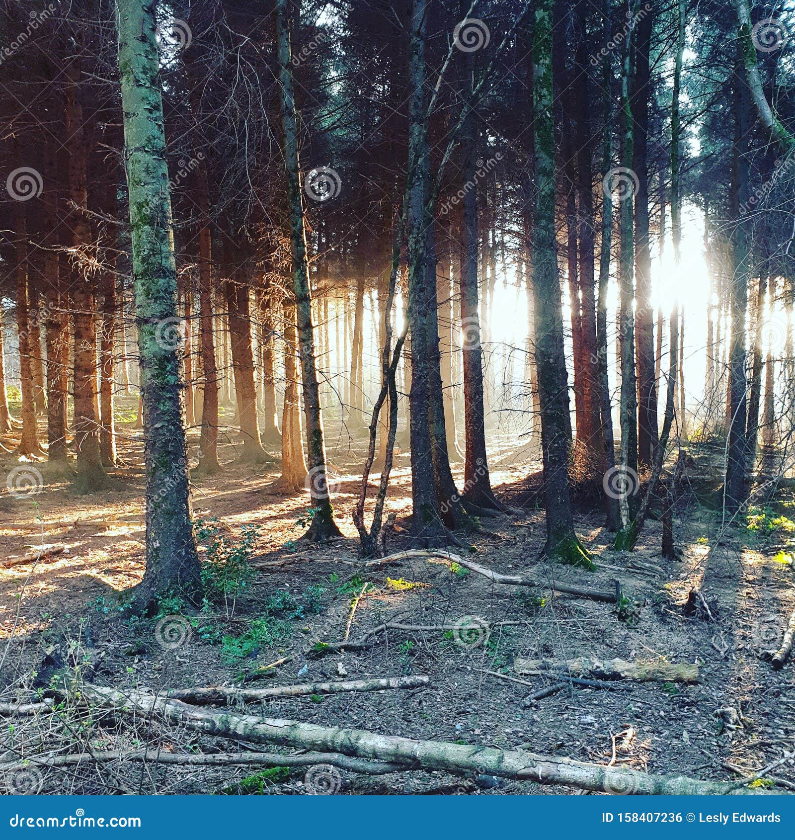 The Light Breaking through stock photo. Image of light - 158407236