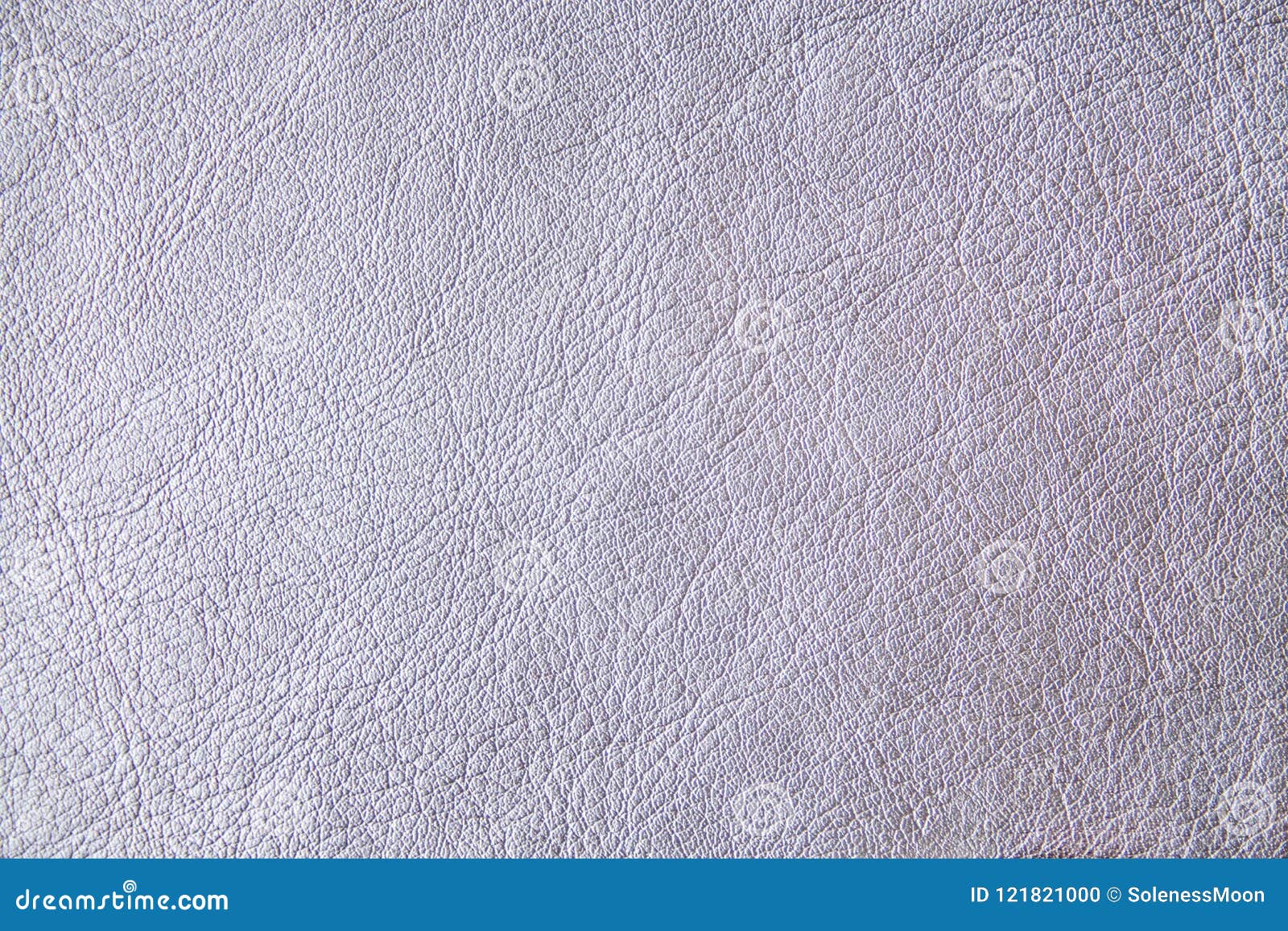 Silvery skin texture. stock photo. Image of background - 121821000