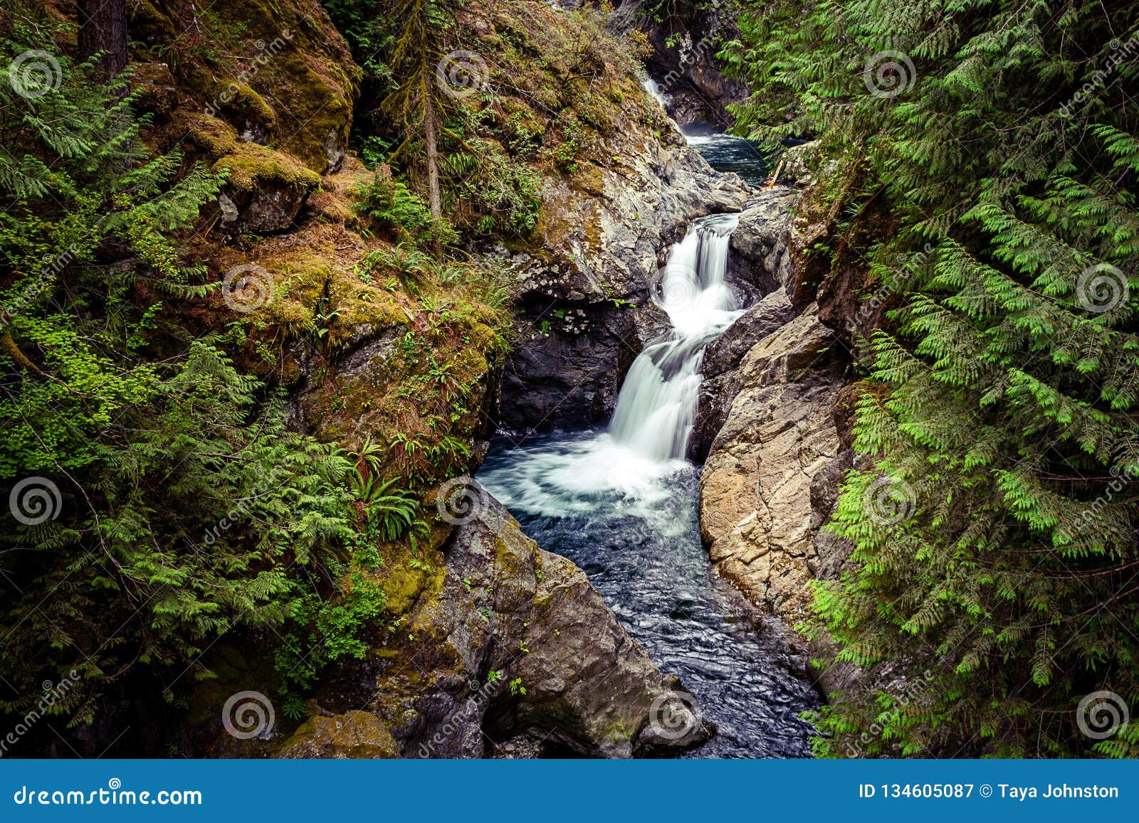 Light Bright Waterfall in Deep Dark Green Forest Stock Image - Image of ...