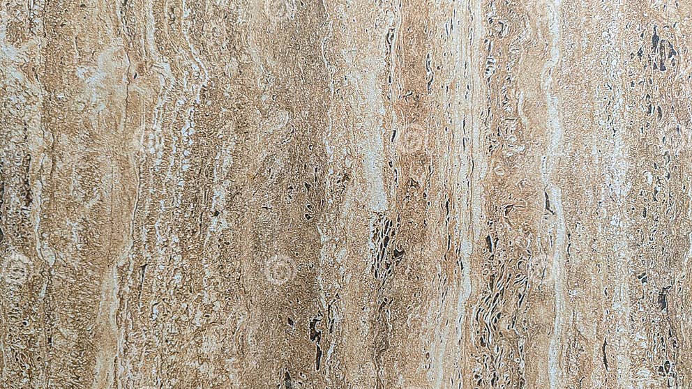 In Light Brown Color with Elements of White and Gray Color Texture ...