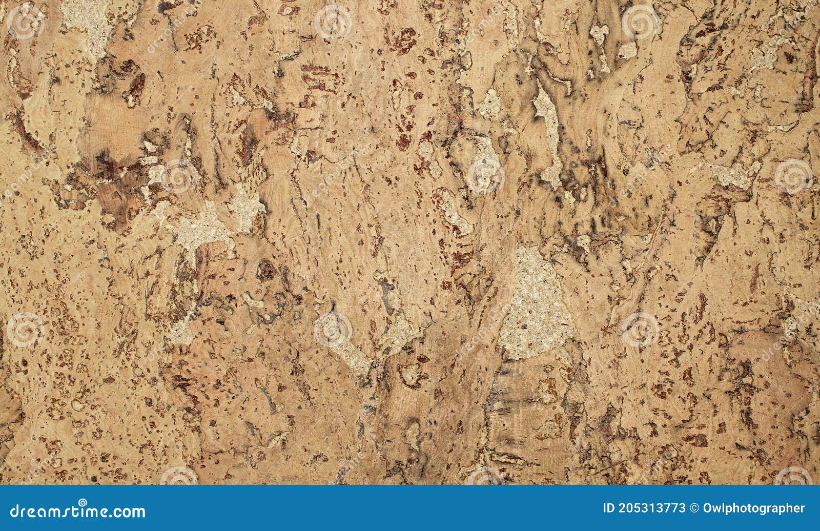Light Brown Cork Wood Panel - Background Stock Image - Image of arts ...
