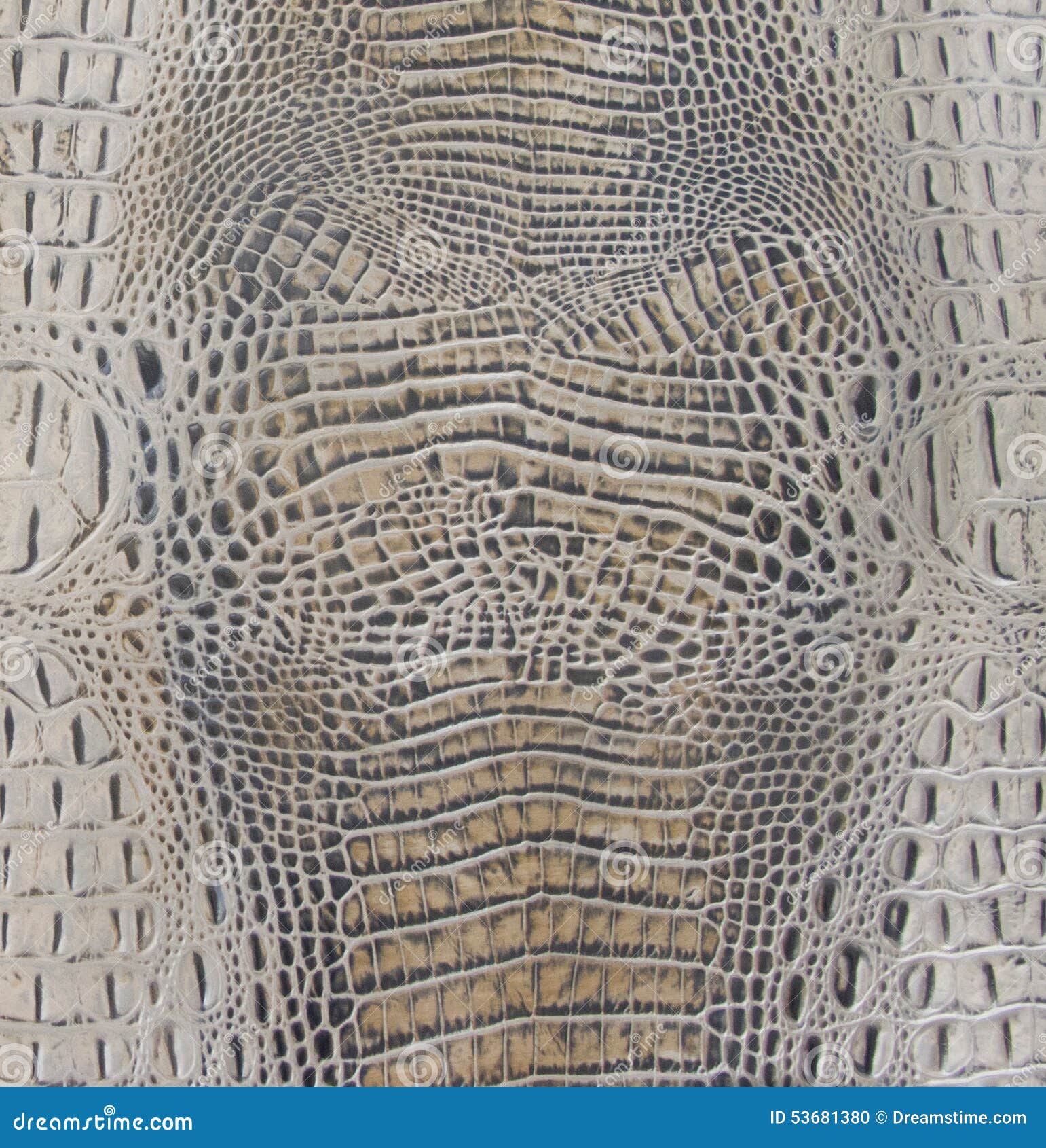 Light Brown Gator Belly Texture Royalty-Free Stock Image ...