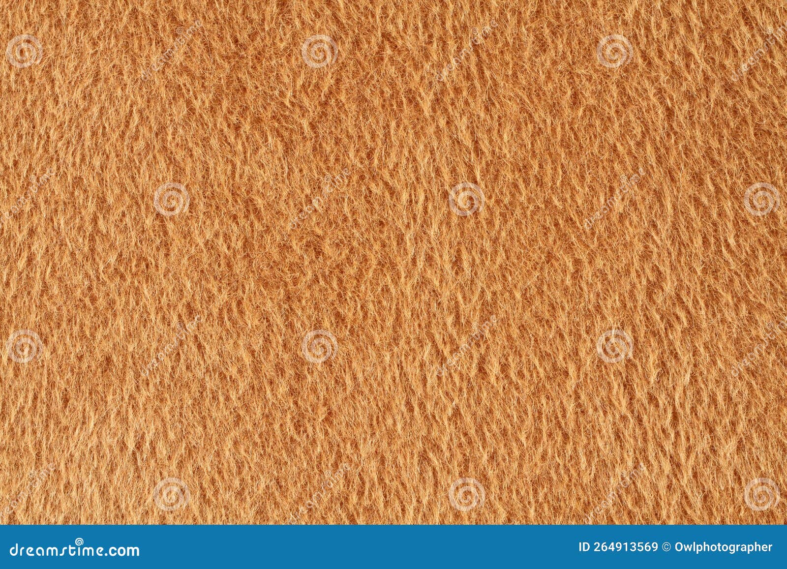 Light Brown Lama Wool Fabric Texture. Macro Stock Image - Image of ...