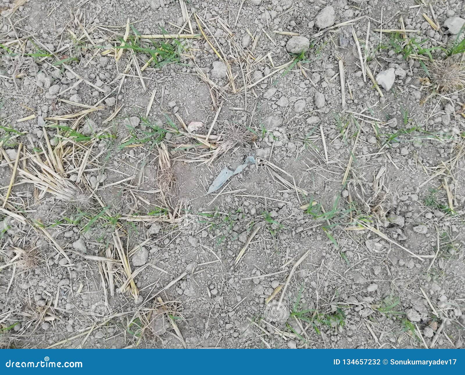 Light Brown Mad Texture Background Stock Photo - Image of background ...