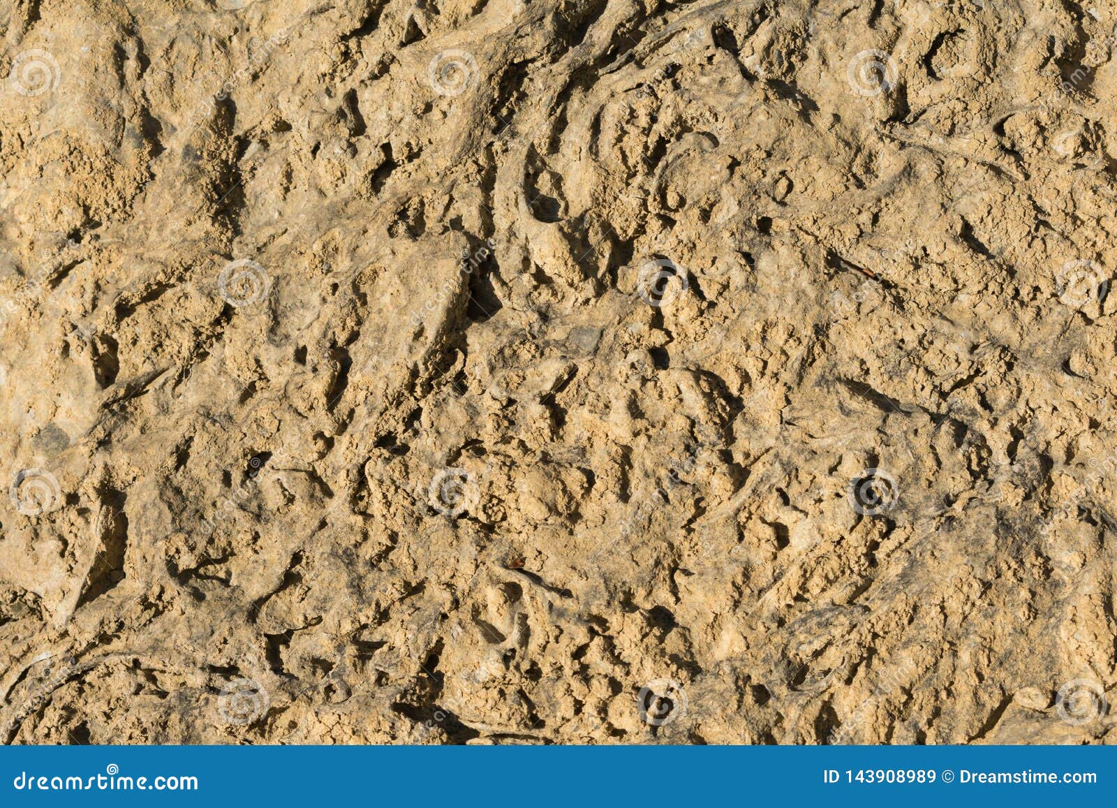 Light Brown Rock, Texture, Background Stock Image - Image of arthur ...