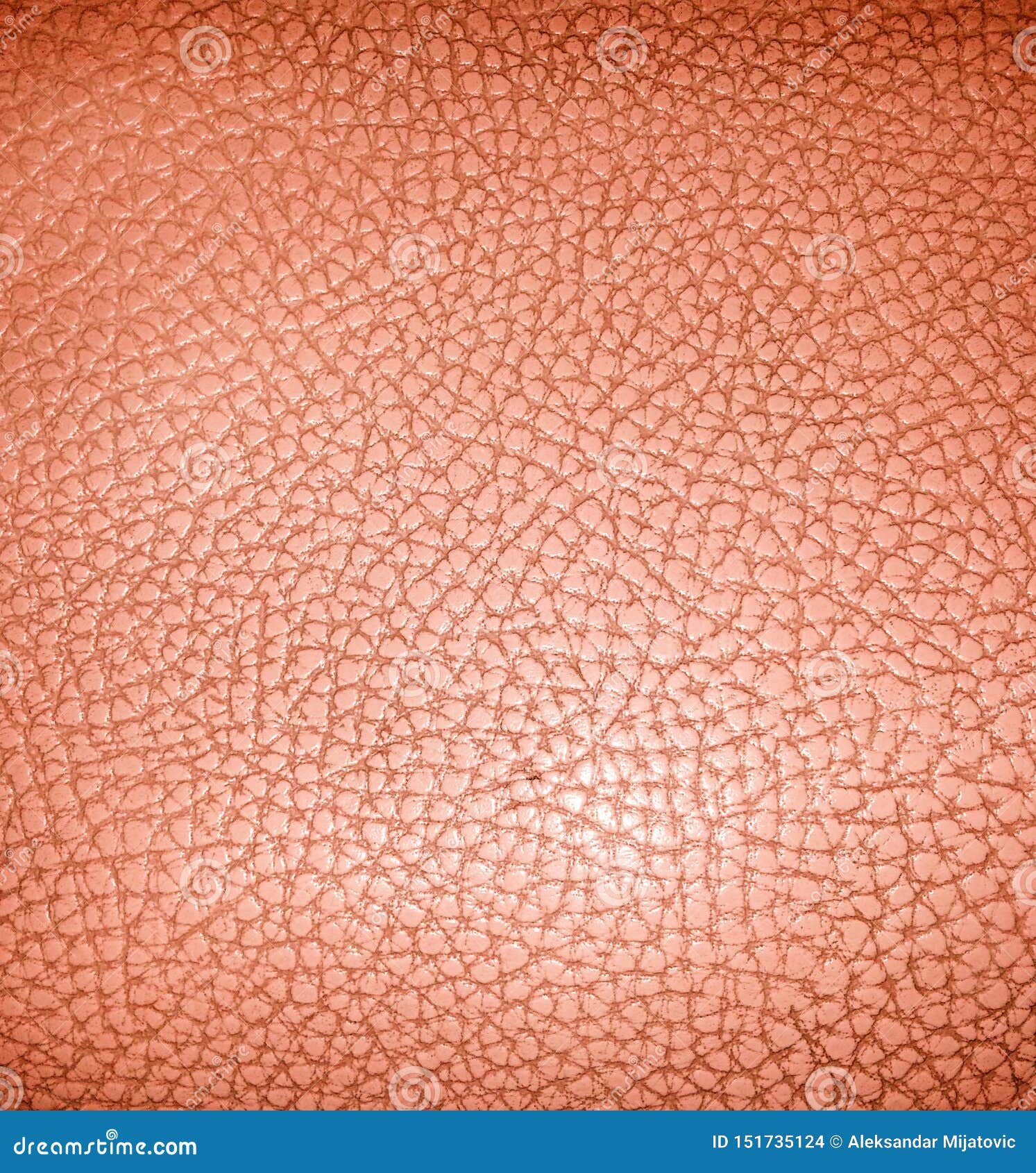 Light brown skin texture stock photo. Image of abstract - 151735124