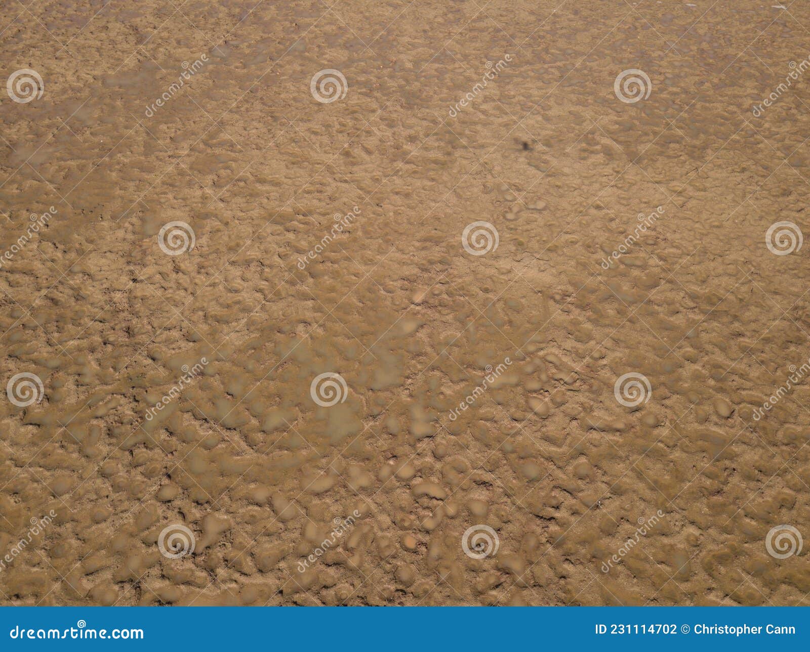 Light brown texture mud stock photo. Image of ground - 231114702