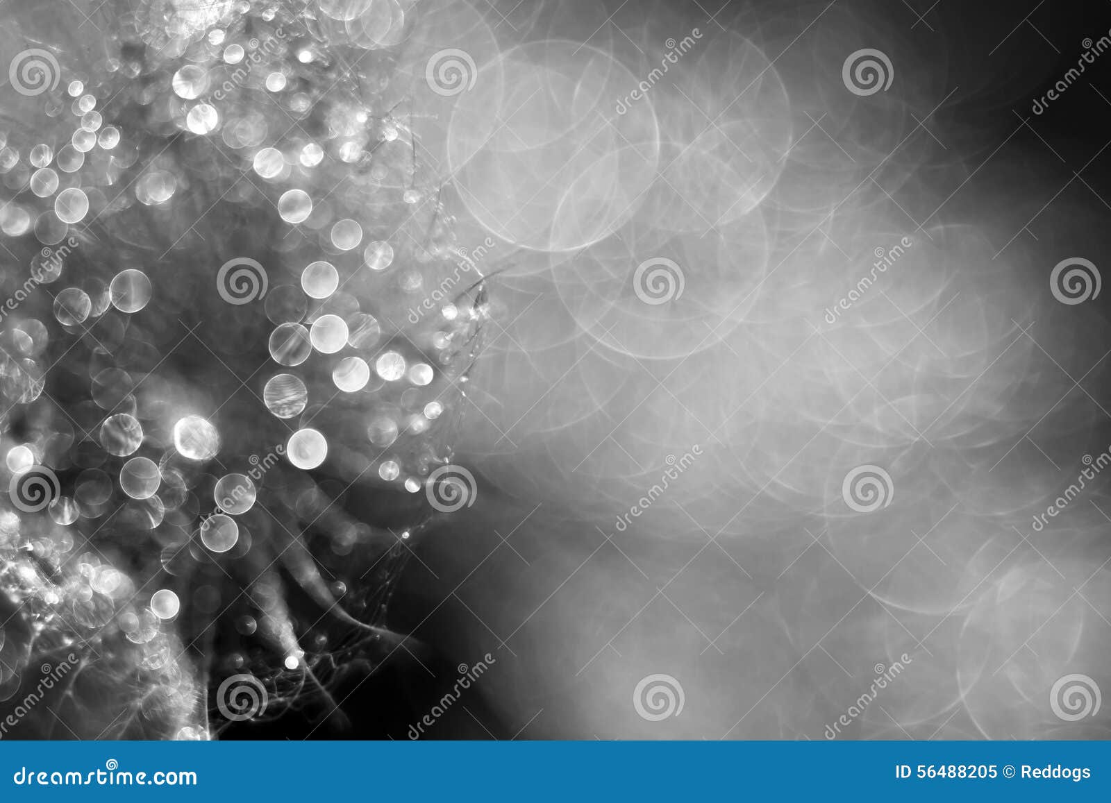 Light bubbles background stock image. Image of nature - 56488205