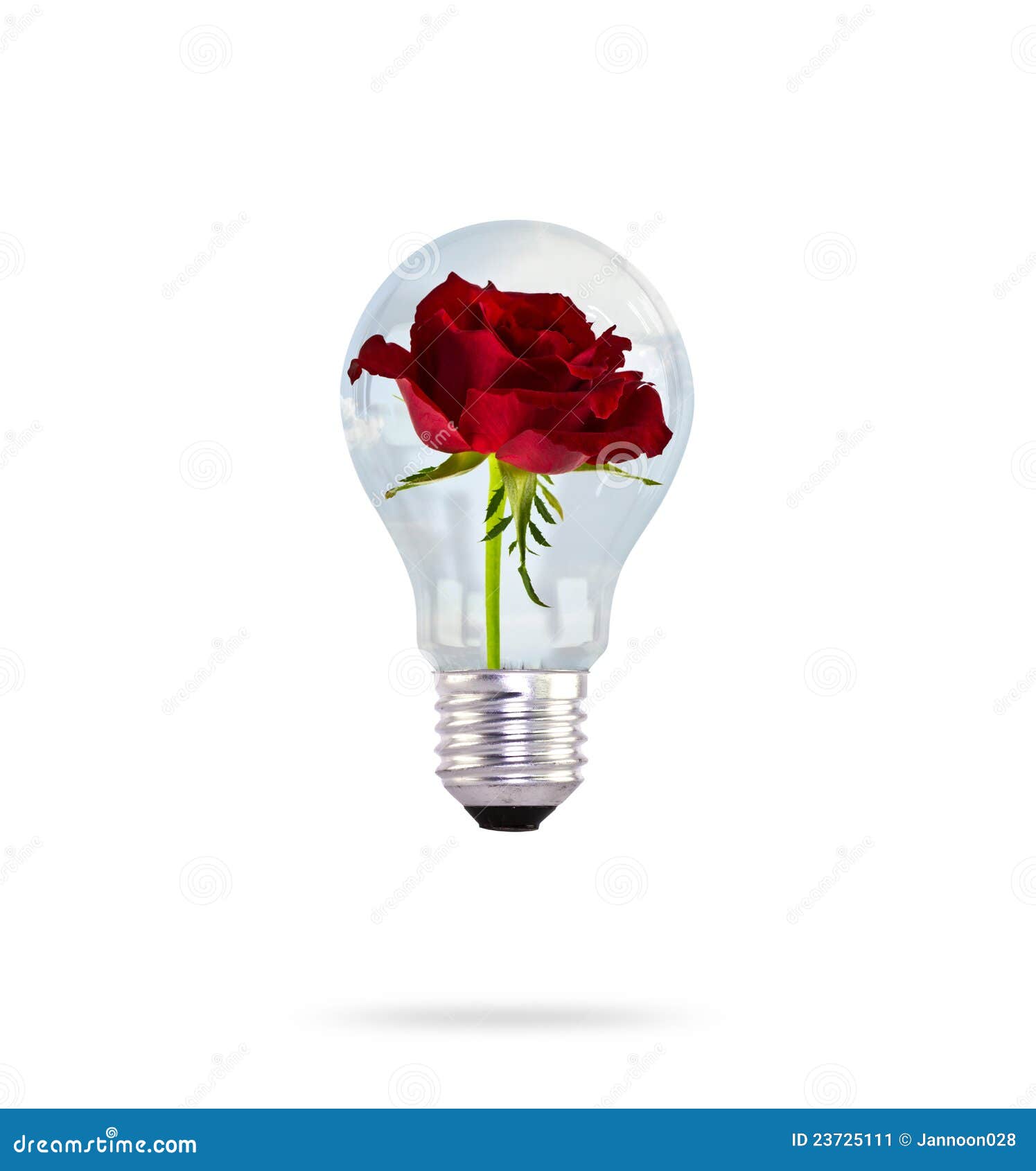 Light Bulb with Beautiful Rose Flower. Stock Image - Image of nature ...