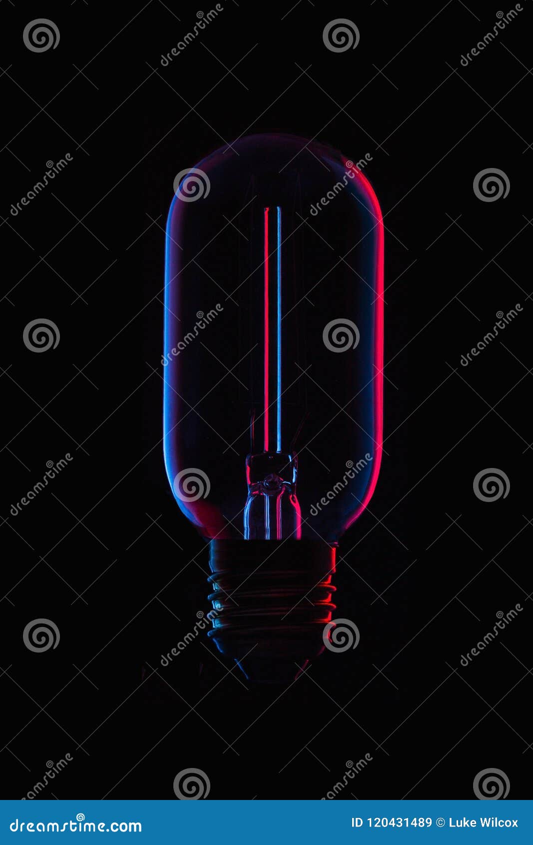 Light Bulb on Black Background Lit with Red and Blue Light Stock Image ...