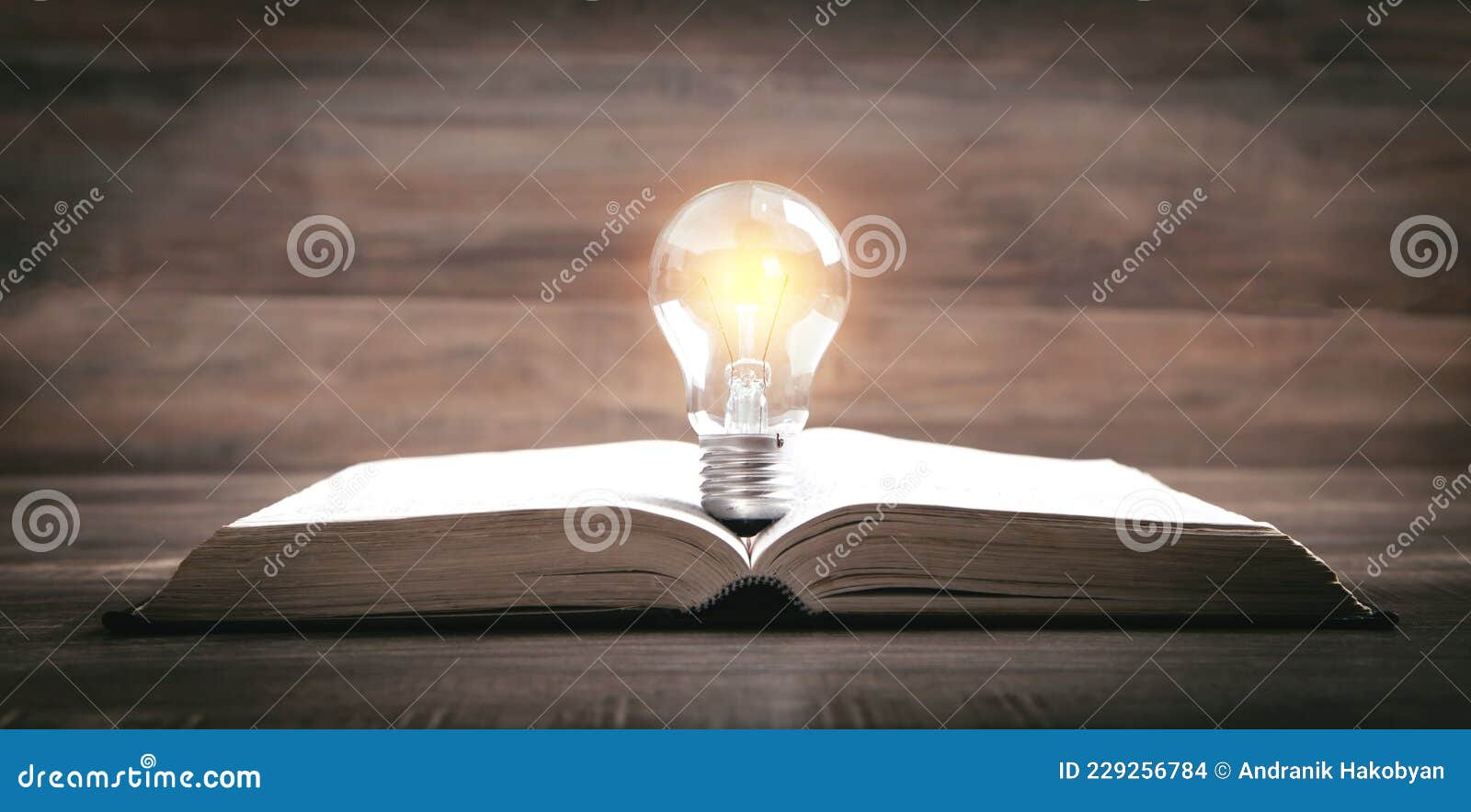 Light Bulb and Book. Knowledge and Wisdom Stock Photo - Image of holy ...