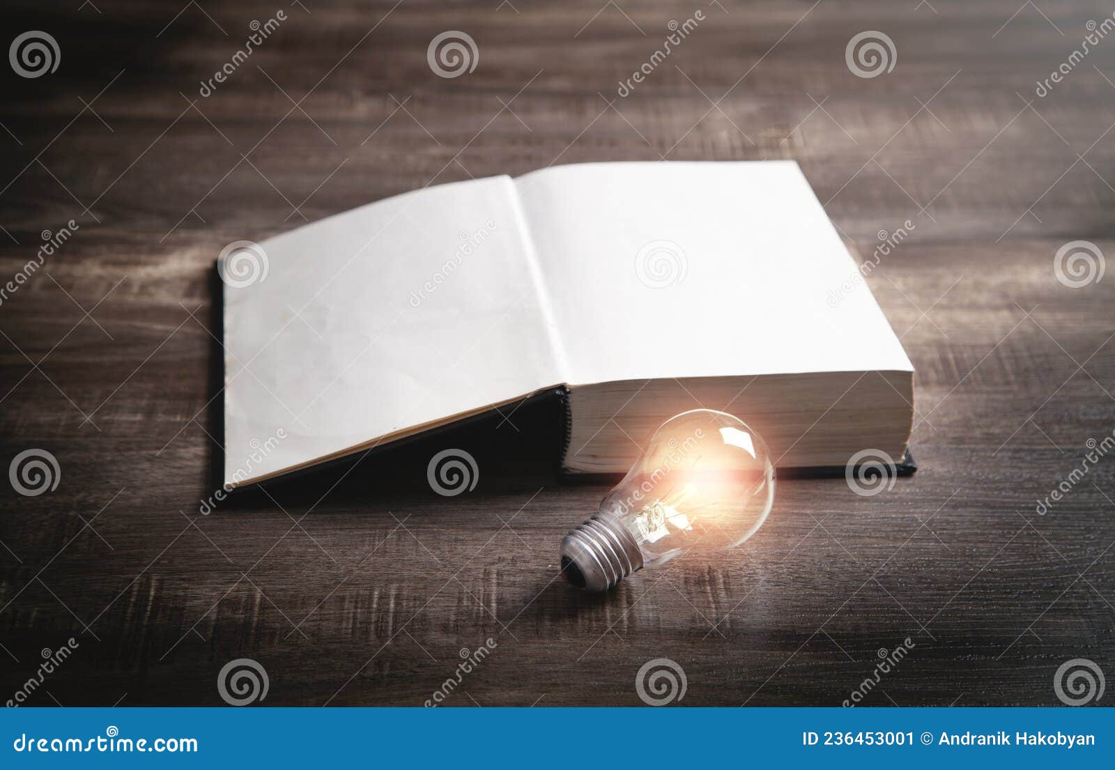 Light Bulb and Book. Knowledge and Wisdom Stock Image - Image of book ...