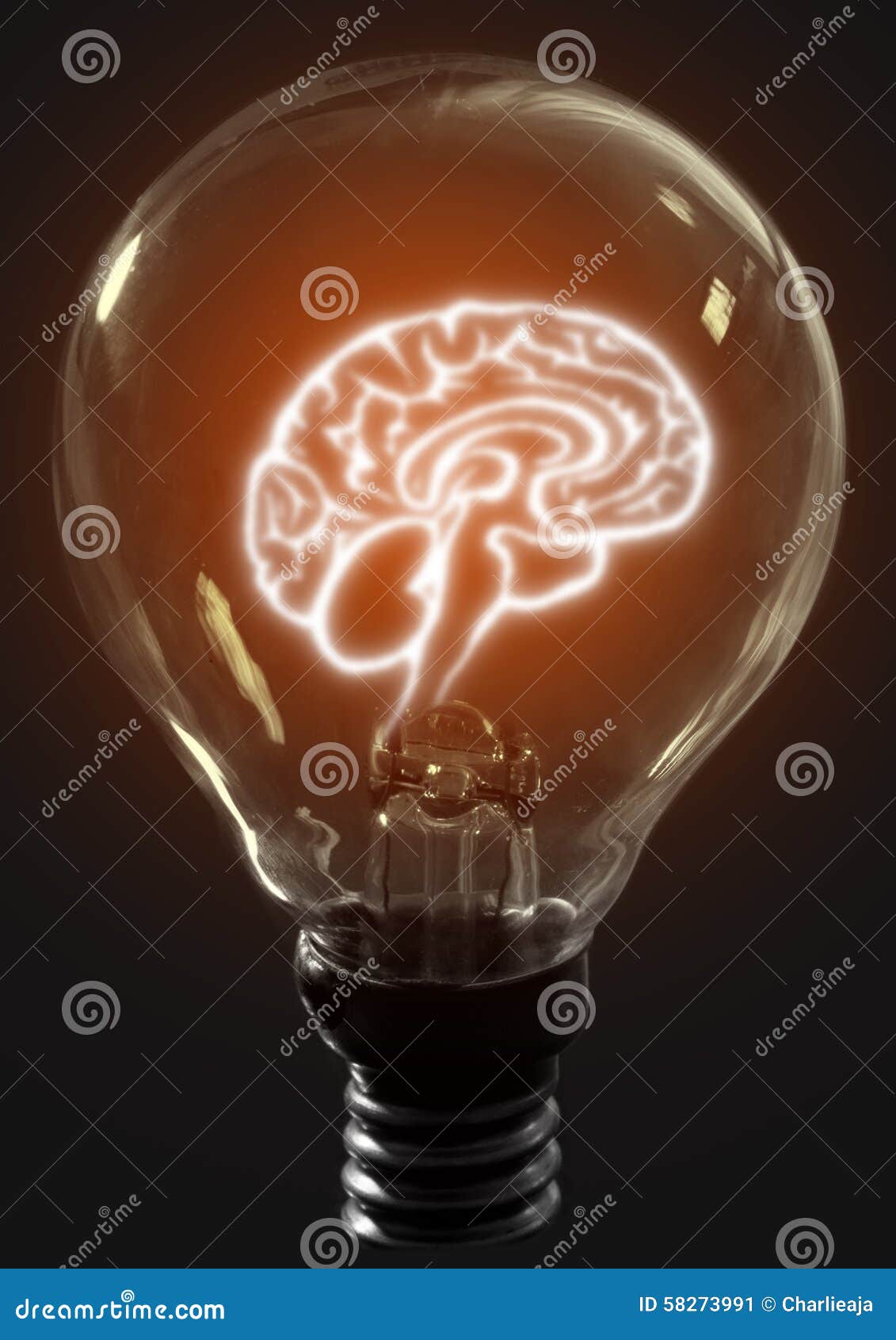 Light bulb brain stock image. Image of glowing, idea - 58273991