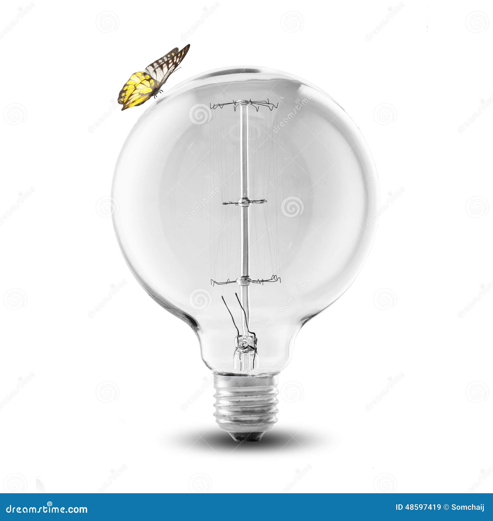 Light Bulb with butterfly stock image. Image of isolated - 48597419