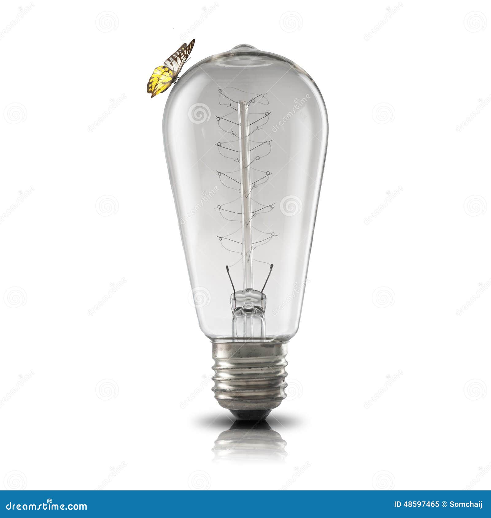 Light Bulb with butterfly stock image. Image of green - 48597465