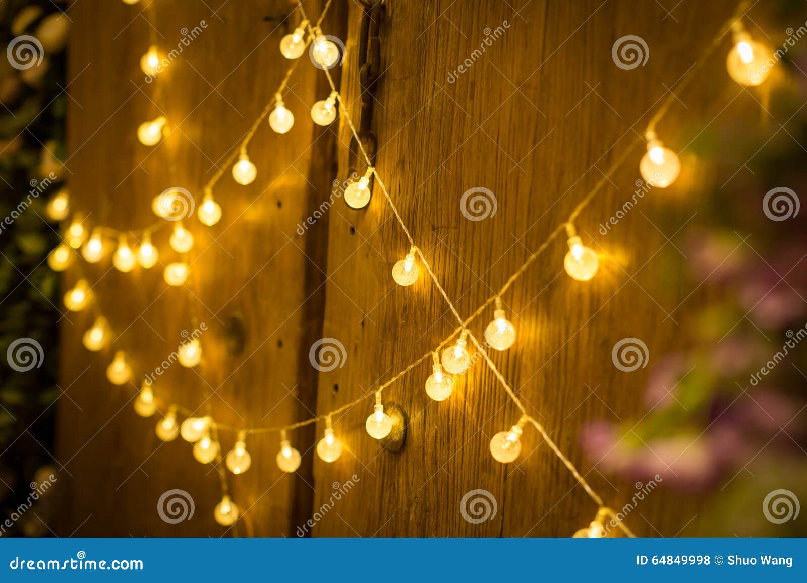 Light bulb decoration stock photo. Image of delicate - 64849998