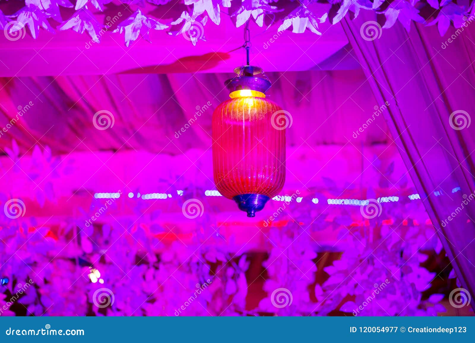 Light bulb decoration stock image. Image of gathering - 120054977