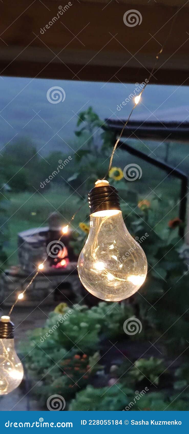Light bulb in the evening stock photo. Image of evening - 228055184