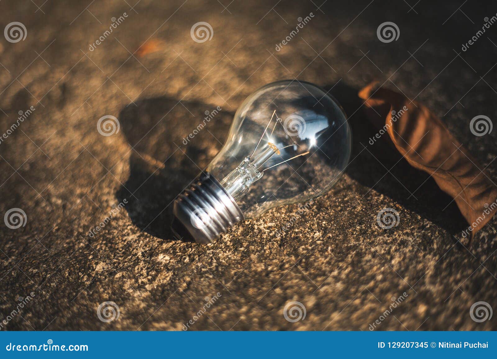 Light bulb Fantasy stock image. Image of design, bulb - 129207345
