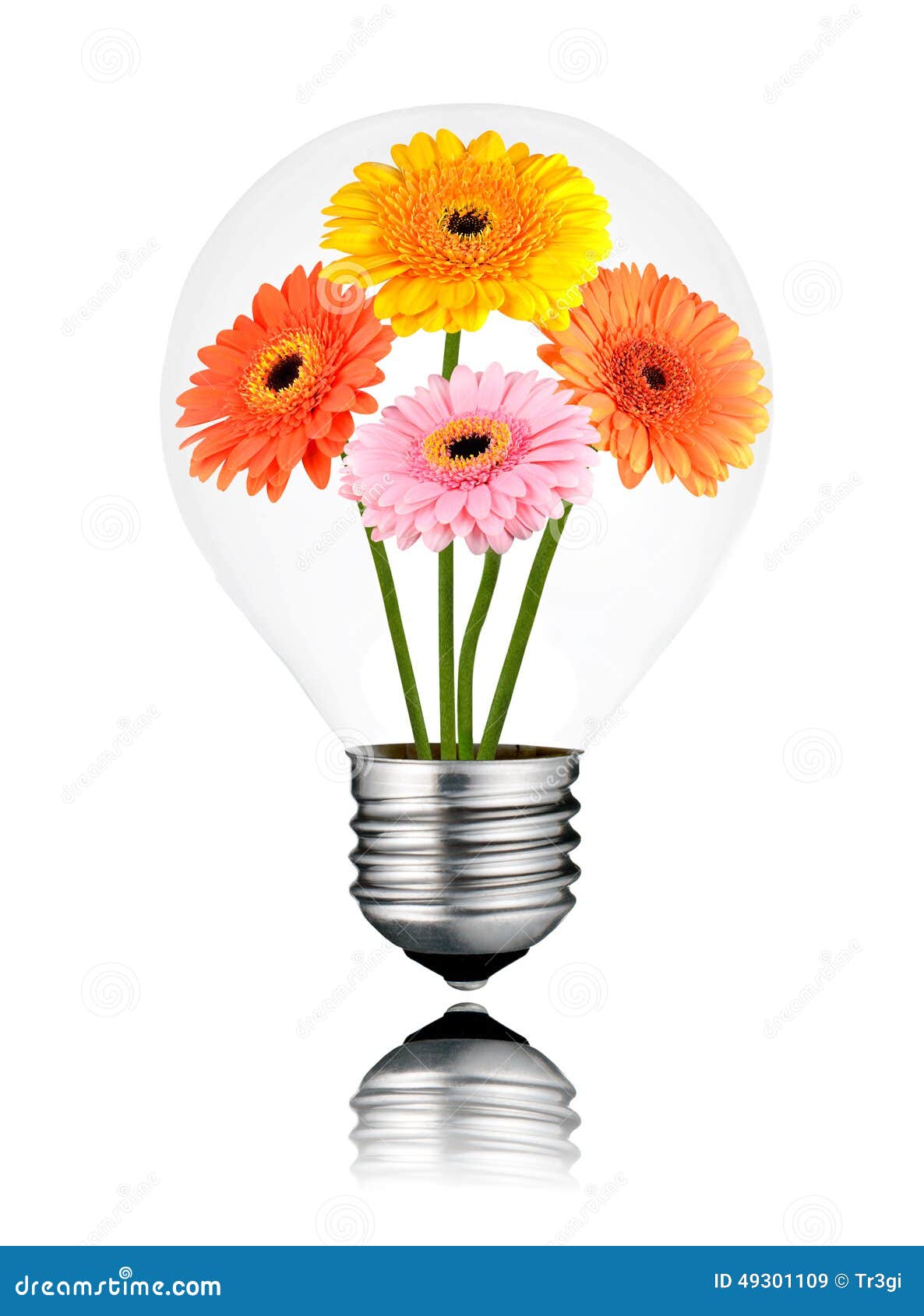 Light Bulb with Flowers Growing Inside Isolated Stock Image - Image of ...