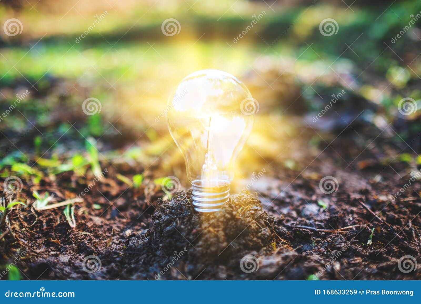 A Light Bulb Glowing on Pile of Soil Stock Image - Image of innovation ...