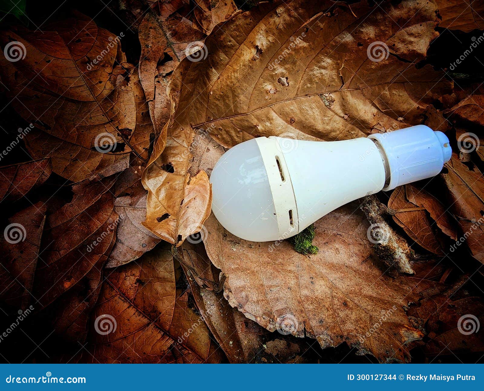 A Light Bulb Glows at Night on a Pile of Dry Leaves Stock Photo - Image ...