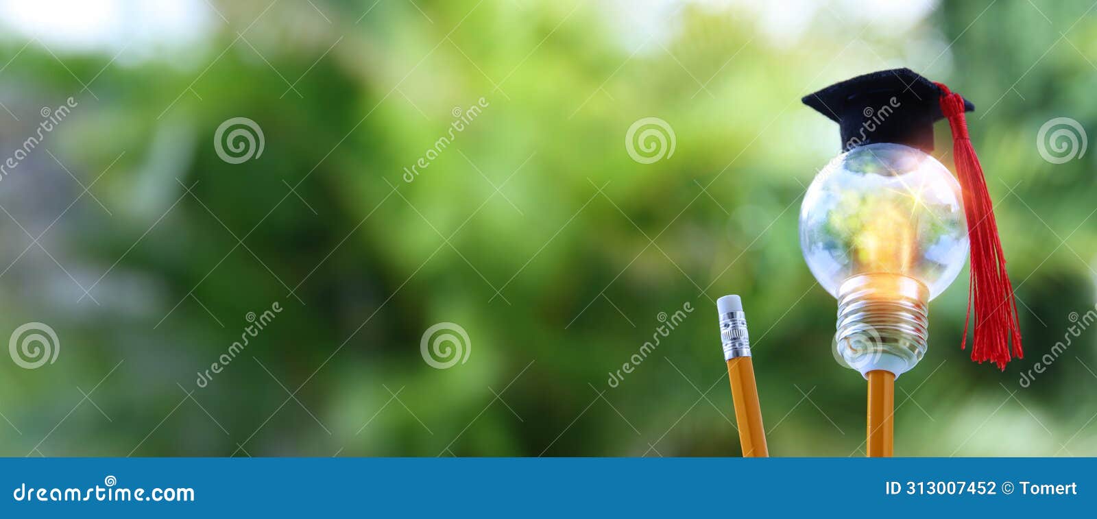 Light Bulb and Graduation Cap. Idea of Education, Technology Stock ...