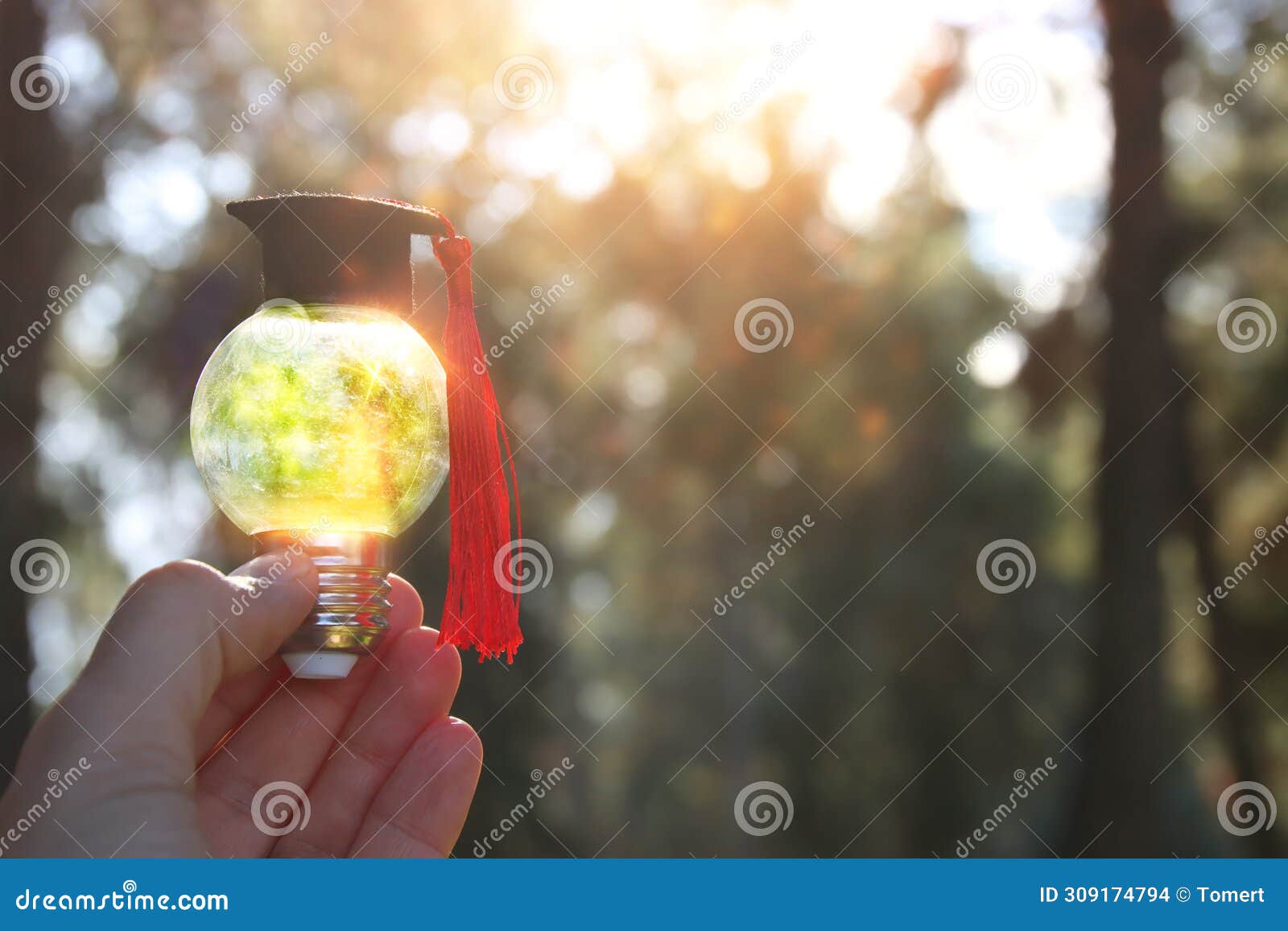 Light Bulb and Graduation Cap Nature. Idea of Education, Technology ...