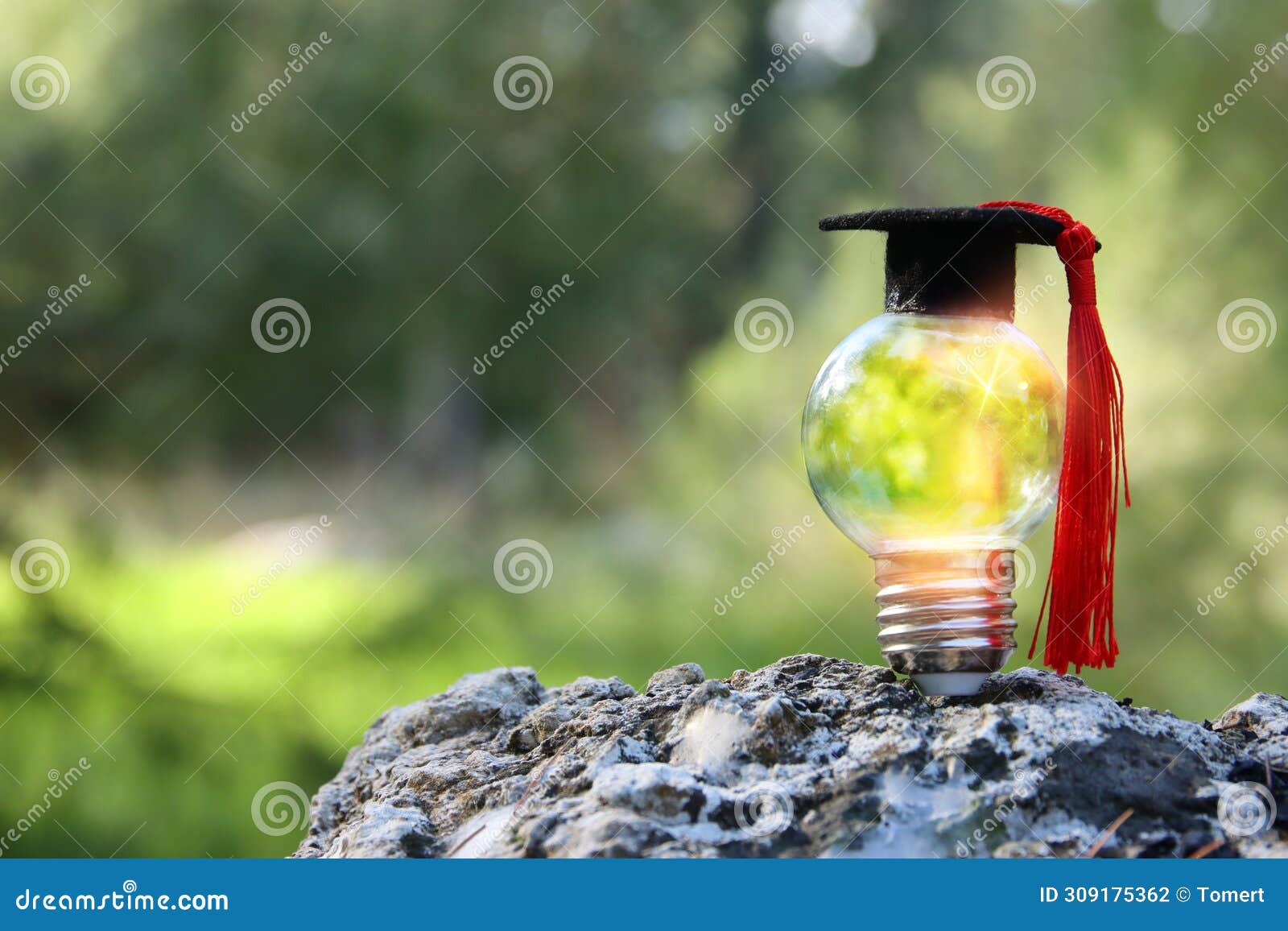 Light Bulb and Graduation Cap Nature. Idea of Education, Technology ...