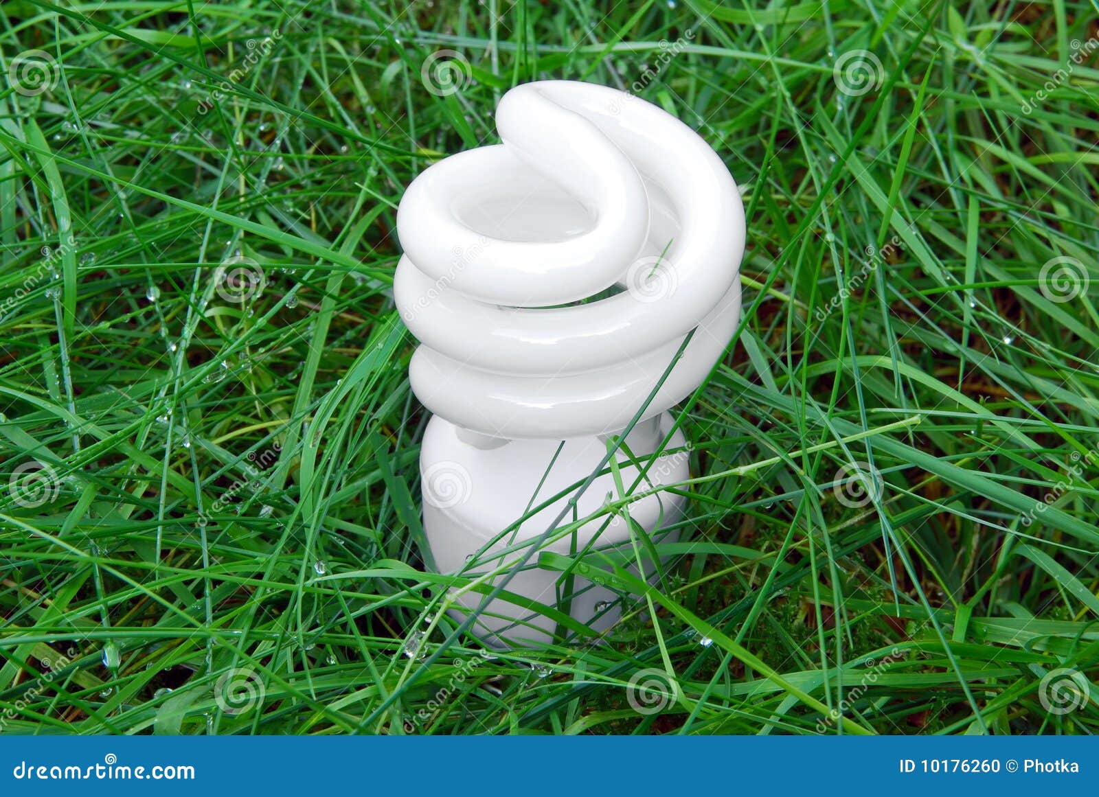 Light bulb in grass stock photo. Image of yard, conservation - 10176260