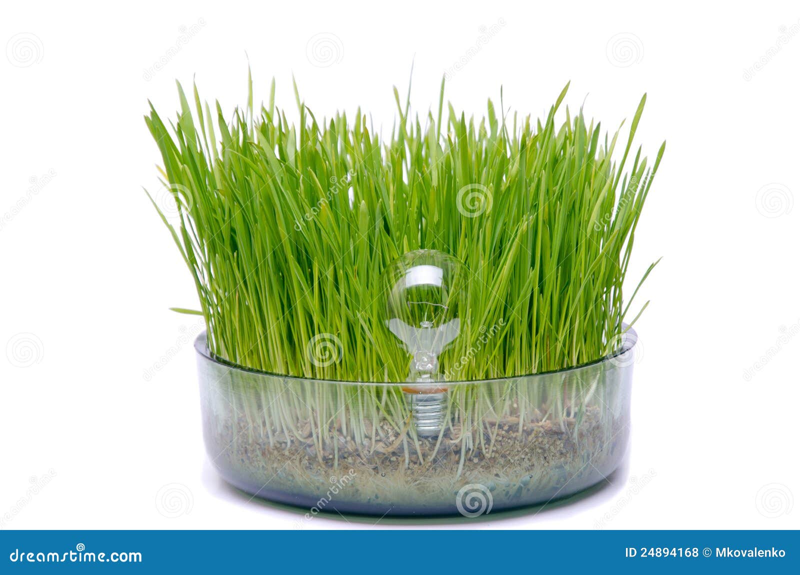 Light bulb in grass stock photo. Image of electricity - 24894168