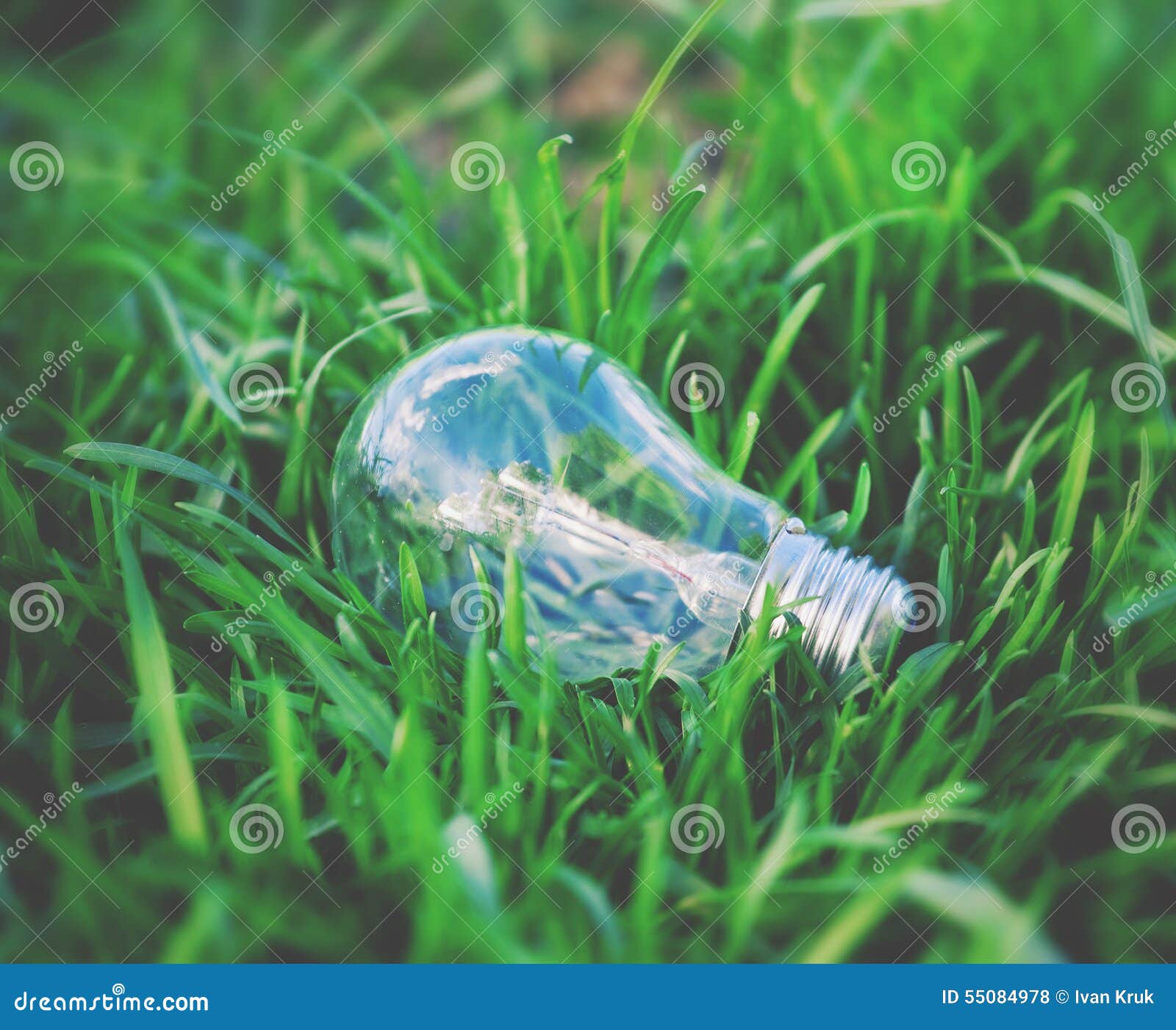 Energy Efficient Light With Grass