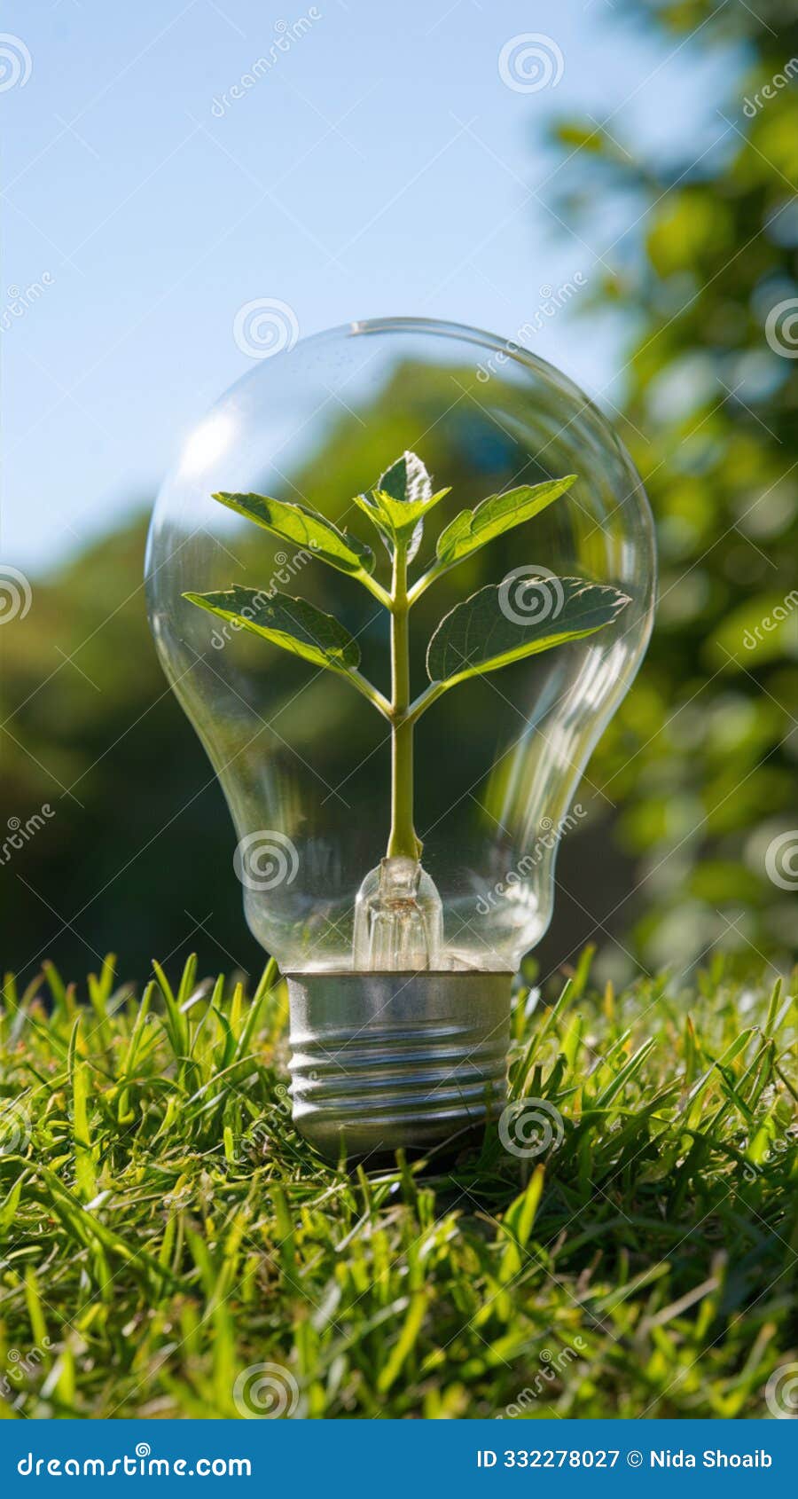 Light Bulb On Grassy Surface With Plant Inside, Clear Sky In Background ...