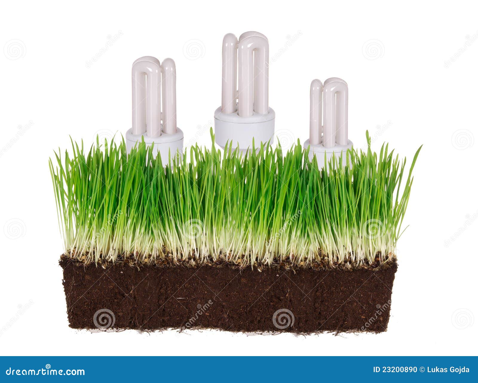 Light Bulb in Green Ecological Concept Stock Photo - Image of industry ...