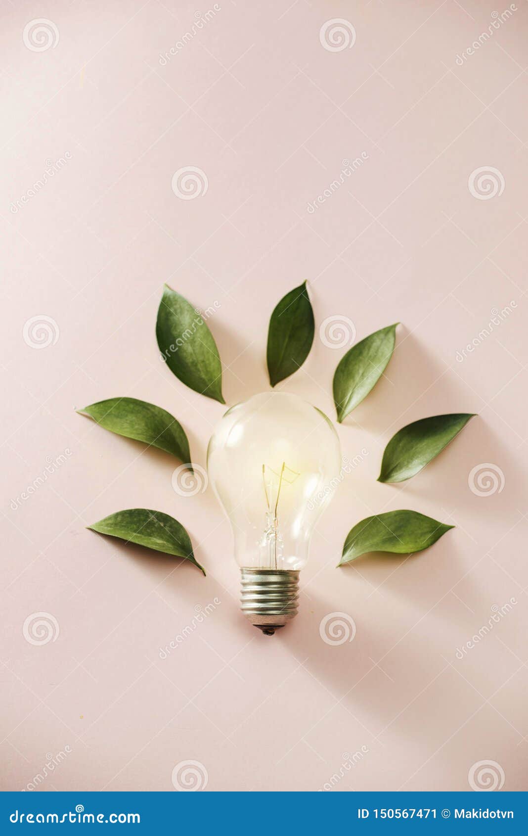 Light Bulb with Green Leaves Stock Image - Image of technology, spring ...