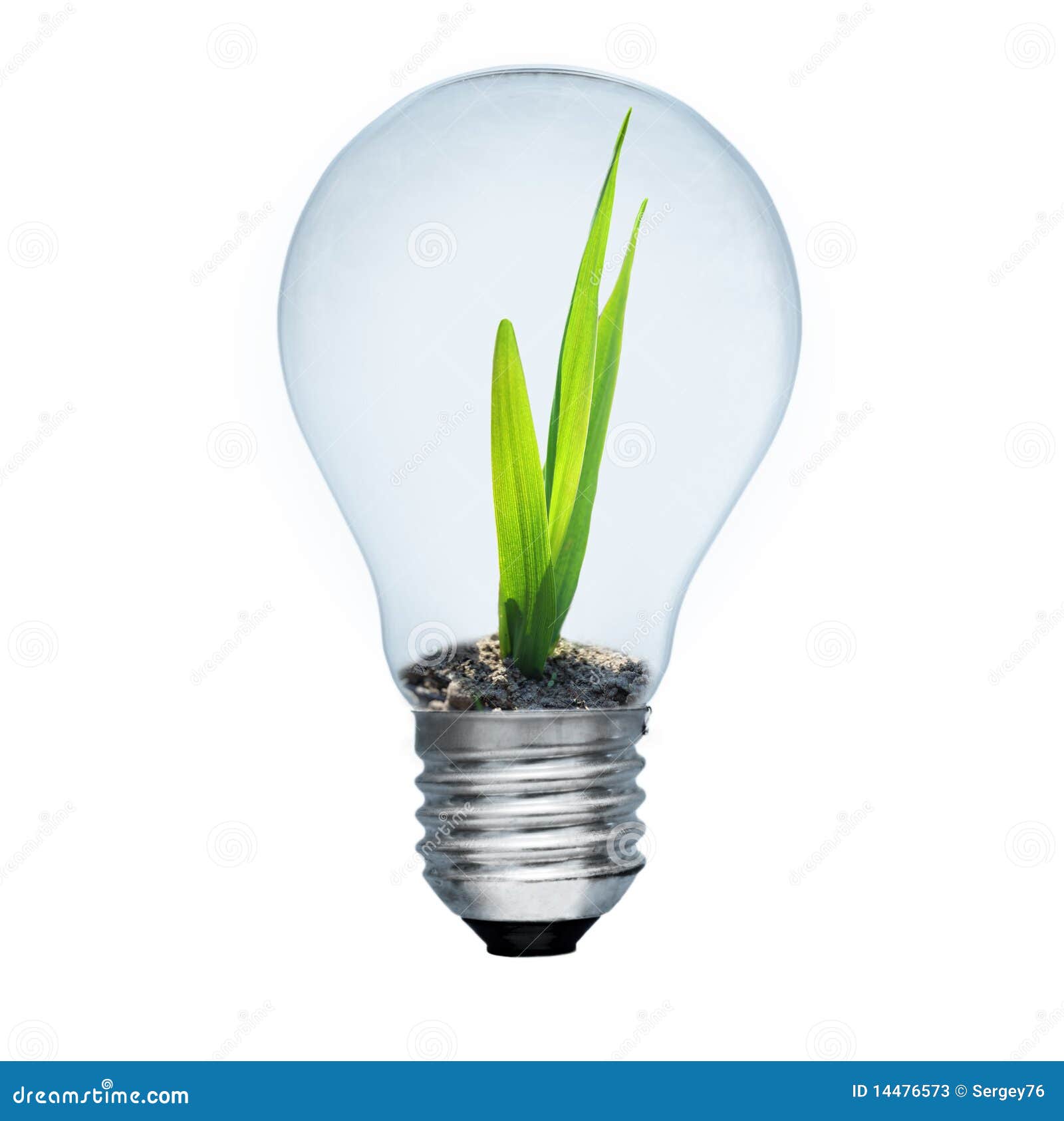 Light Bulb and Green Sprout Inside Stock Image - Image of sprout ...