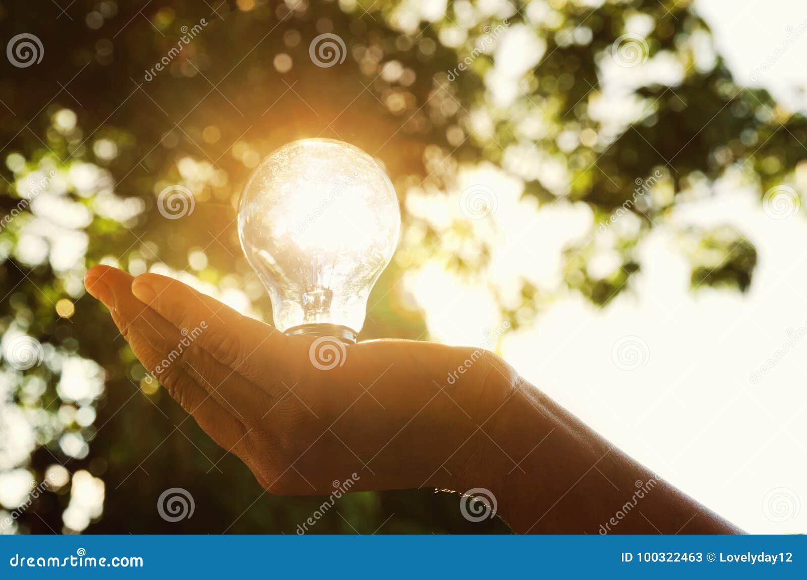 Light Bulb in Hand Person with Sunset of Solar Energy Stock Image ...