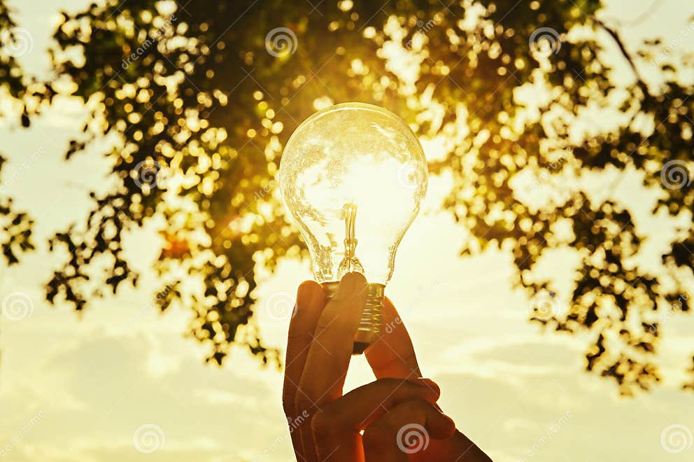Light Bulb on Hand with Sunshine Stock Image - Image of holding, bulb ...