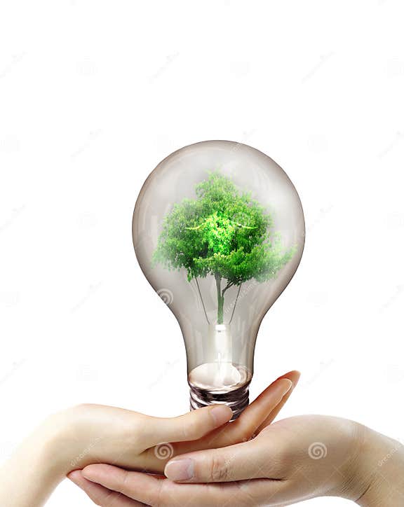 Light bulb stock image. Image of nature, energy, bonding - 44611971
