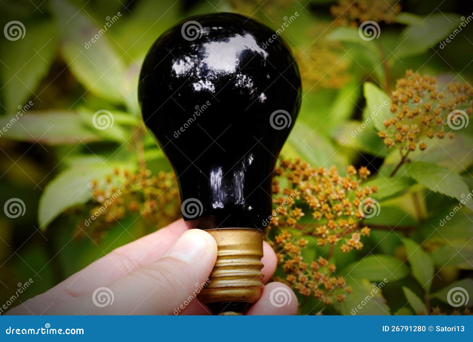 Light bulb held in palm stock photo. Image of equipment - 26791280