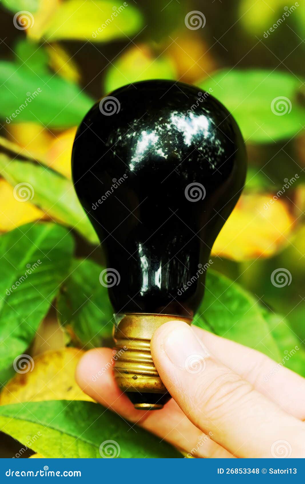 Light bulb held in palm stock photo. Image of hold, idea - 26853348