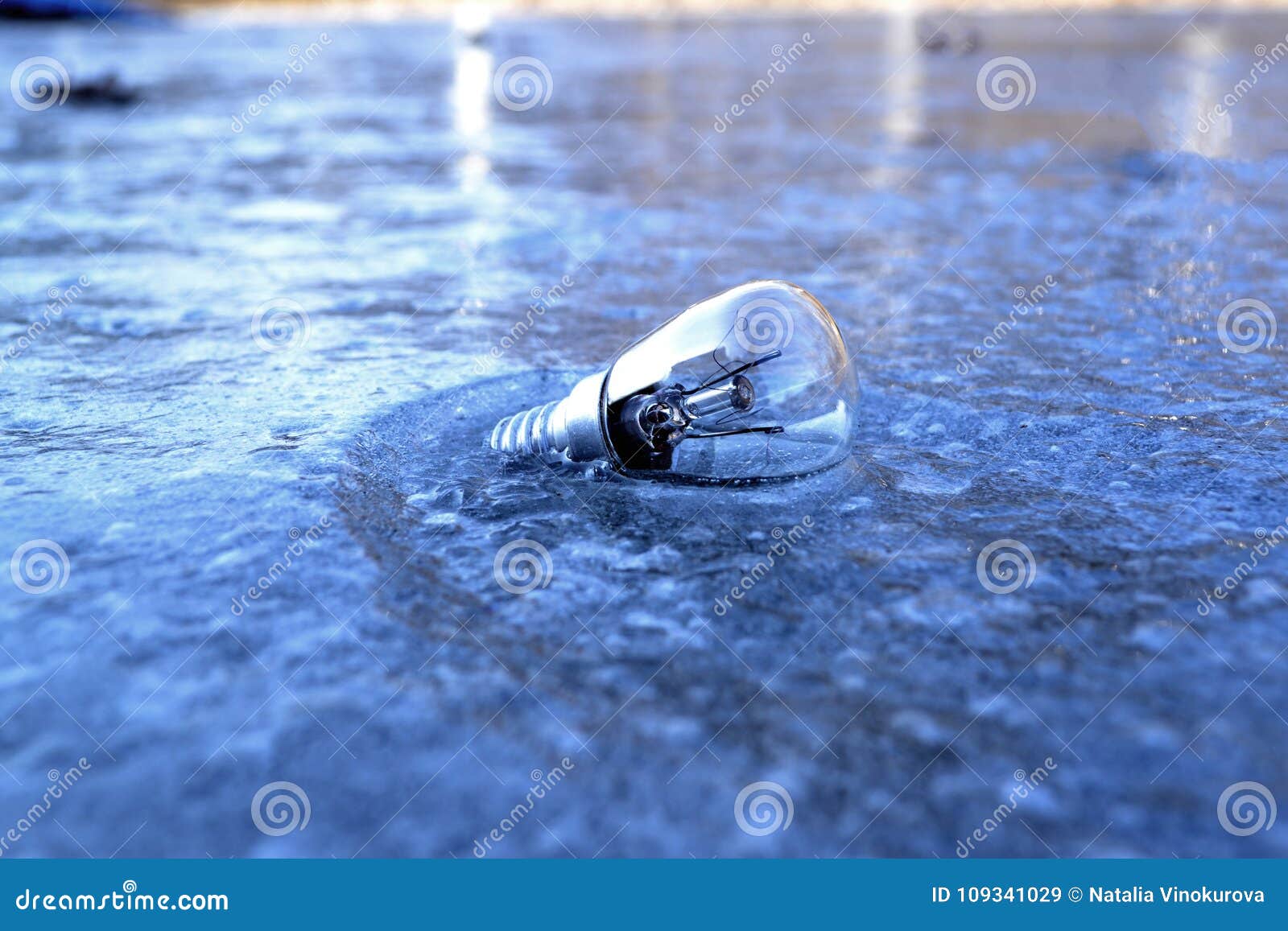 Light bulb in the ice. stock image. Image of close, industry - 109341029
