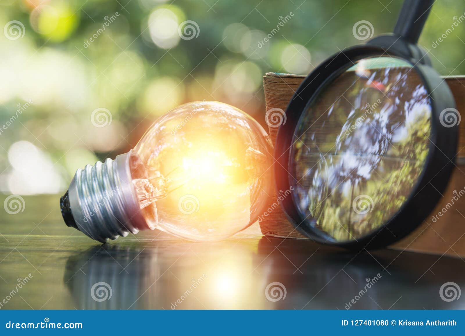 A Light Bulb for Innovation and Creative Concept on Nature Background ...